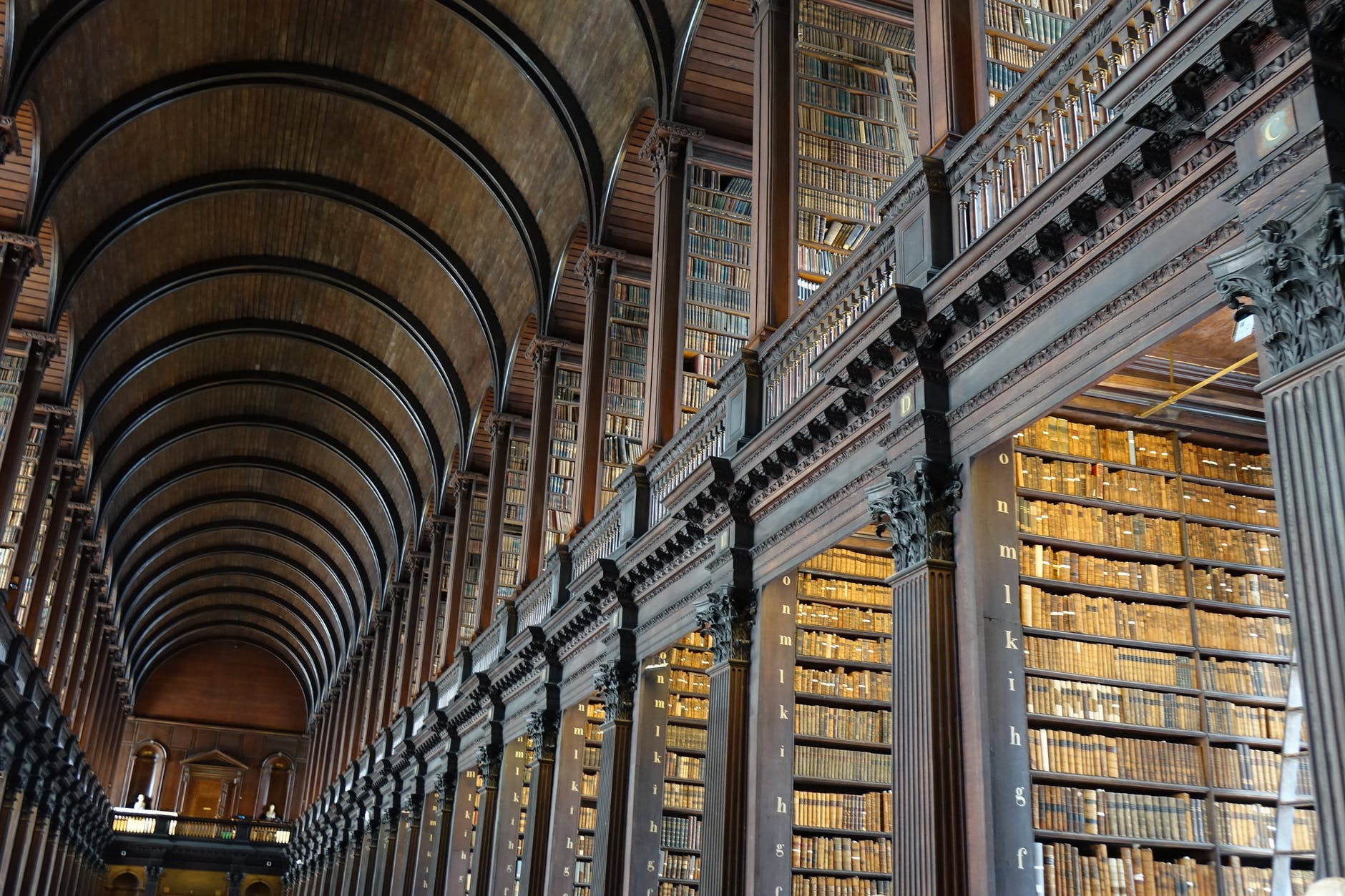 A Library Is A Cathedral | Tree of Learning